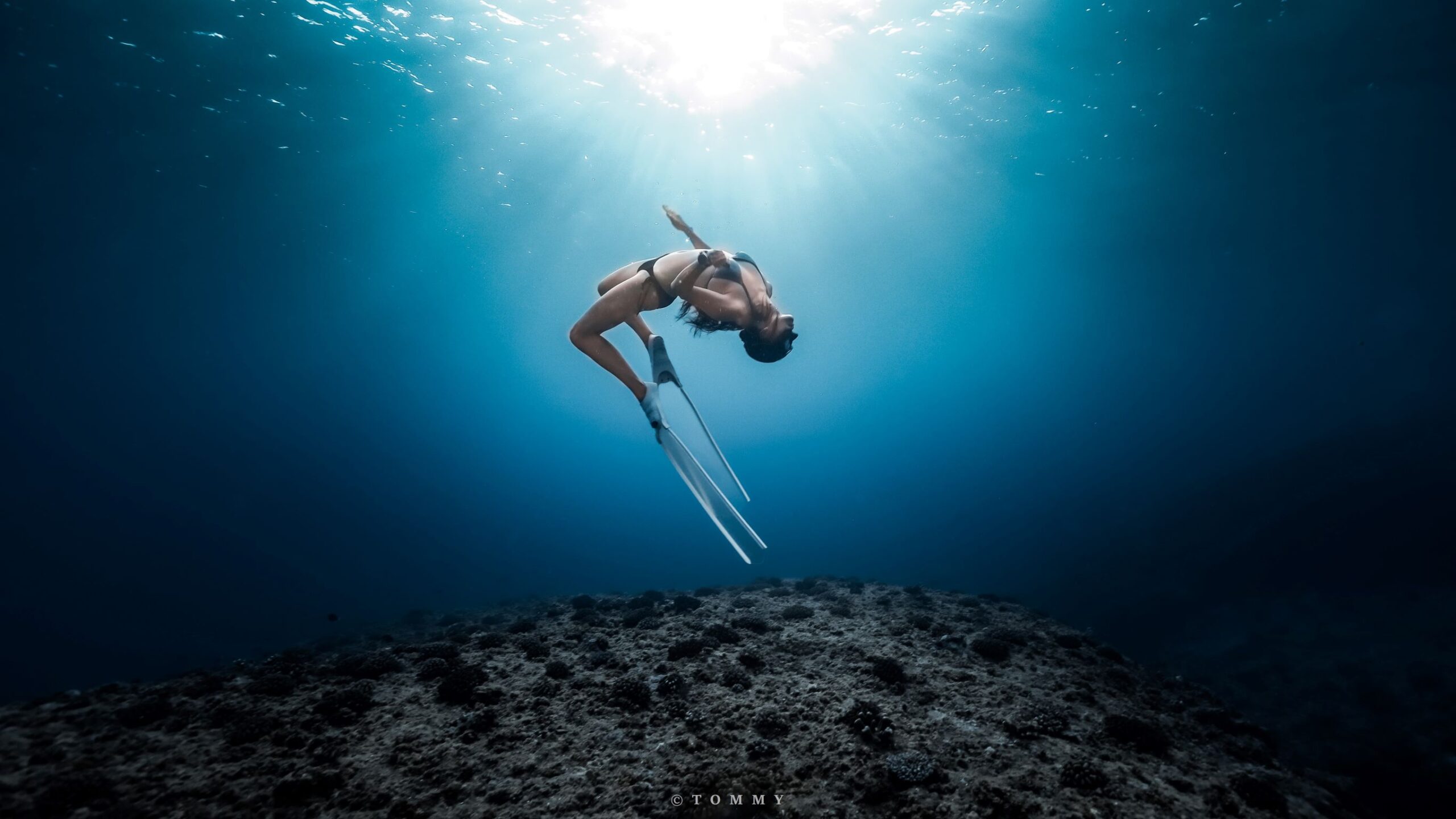 AIDA2課程 | IF Freediving